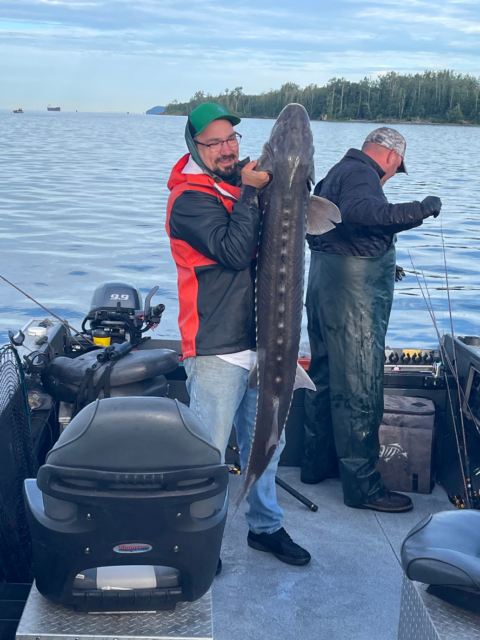 Sturgeon Fish - Portland Fishing Guides
